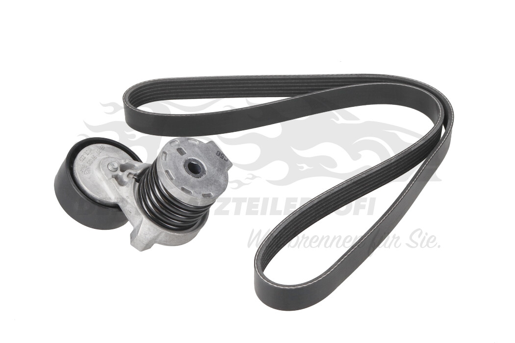 Keilrippenriemensatz 6PK1165 117204246R online kaufen