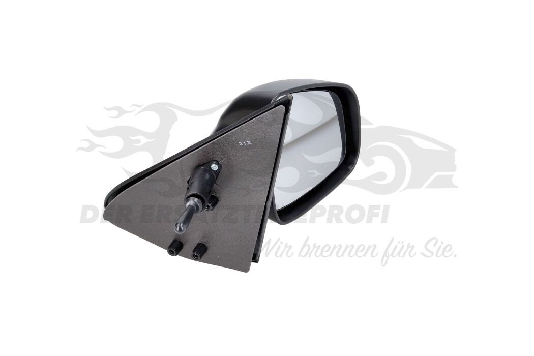 Aussenspiegel rechts 963018898R online kaufen