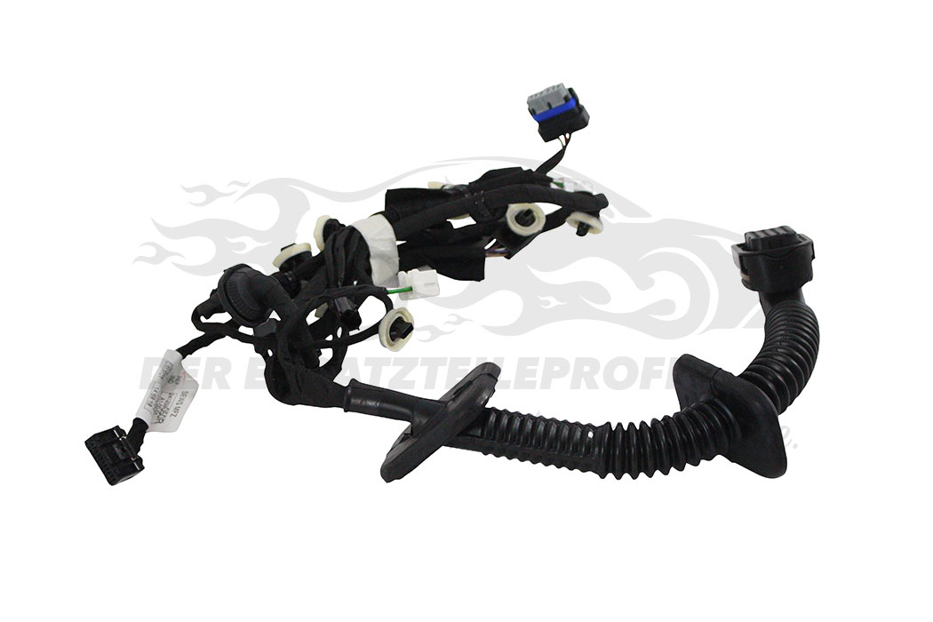 241259050R Kabelstrang - Tür vorne links Renault